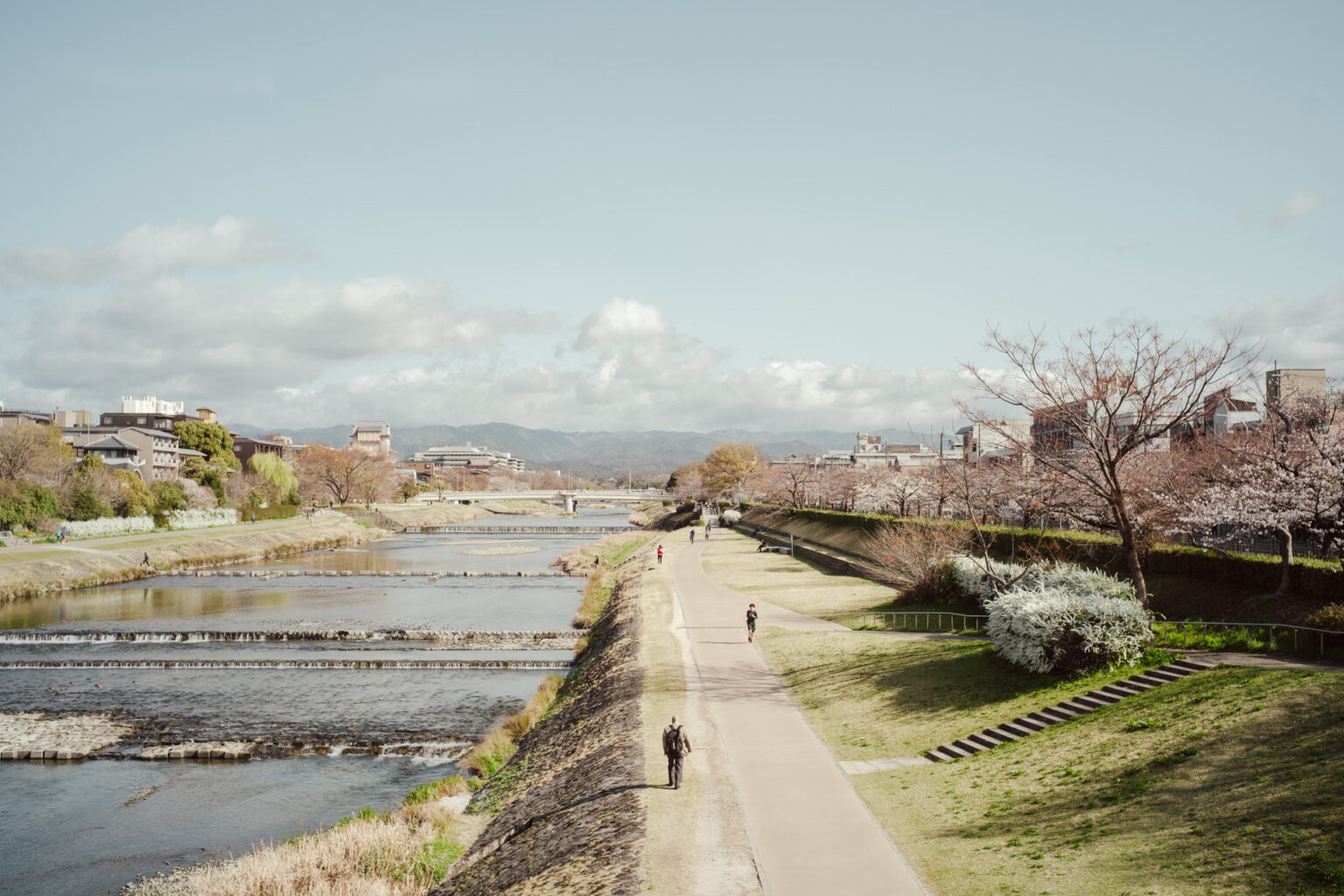 Mandler 35mm F2 七枚玉復刻鏡頭｜重現Leica經典散景 × 街拍美學 Daran Wu 湧蓮國際線上商城 | Yunglien ...