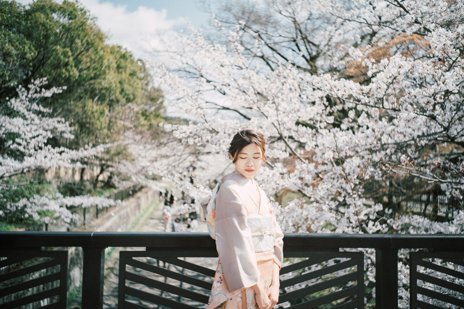 The Perfect Lens Choice for Artists | Mandler 35mm F2 - camera forest 相機森林